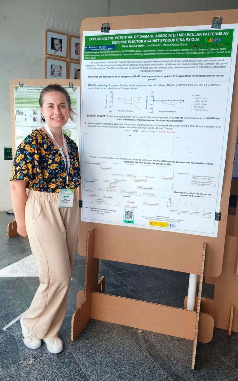 HUNTER | Panel expositivo modular de cartón para A0